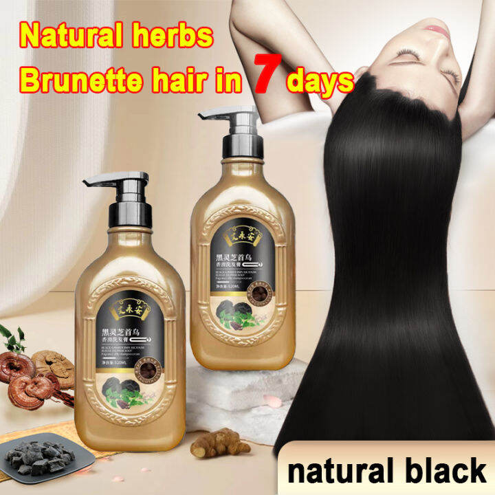 hair blackening shampoo 520ML Herbal Natural Ganoderma lucidum Shampoo Effective White Hair ...