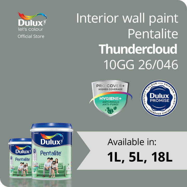 Dulux Pentalite - Thundercloud (10GG 26/046) (Anti-mould & Anti-fungus ...