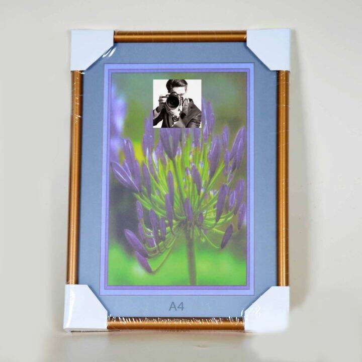 Frame Gambar A4 Saiz Gold berkualiti | Lazada
