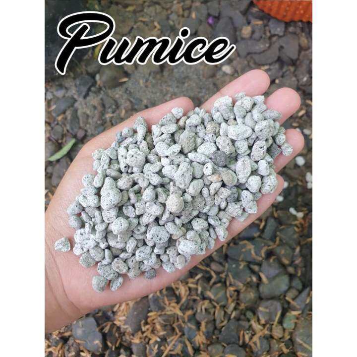 Anikanik Ph - Pumice 1kg | Lazada PH