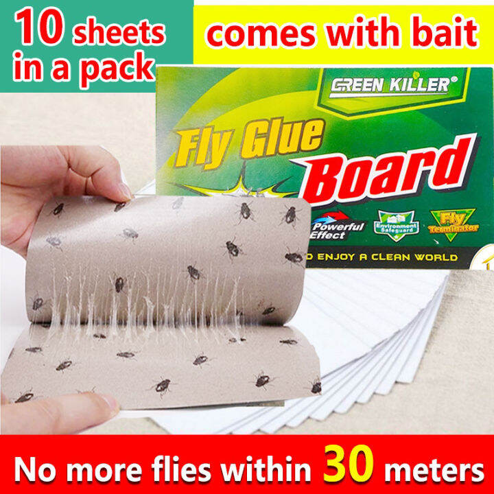5pc Fly Catcher Glue Board Fly Trap Board Traps Fruit Flies Kitchen ...