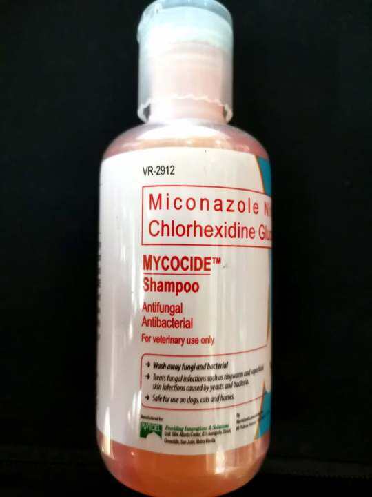 Mycocide Shampoo (Anti-fungal | Antibacterial) for dogs, cats, and ...
