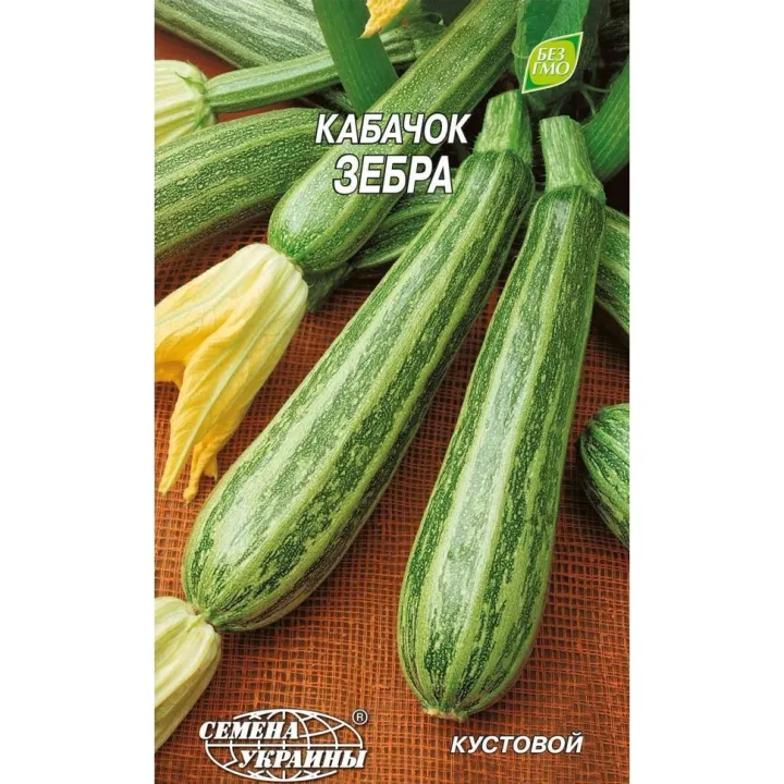 Squash Zucchini seeds Zebra Heirloom Vegetable Seed. Bush. 【It's a seed ...