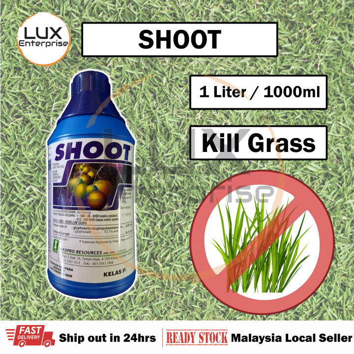 🔥FREE SHIPPING🔥READY STOCK🔥 Shoot 1L HERBICIDE / RACUN RUMPAI | Lazada