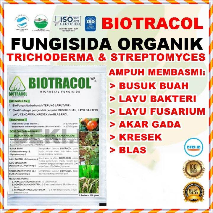 Biotracol 100 gr Fungisida Organik Tricoderma Streptomyces Bio ...