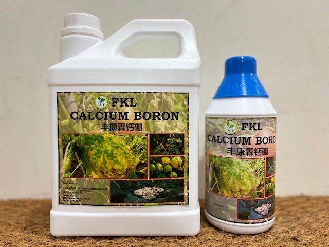 FKL CALCIUM BORON Fertilizer / Baja Foliar Kalsium Boron (Kemanisan ...
