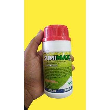 Herbisida SUMIMAX 50 WP Herbisida Khusus Singkong Dan Tebu | Lazada ...