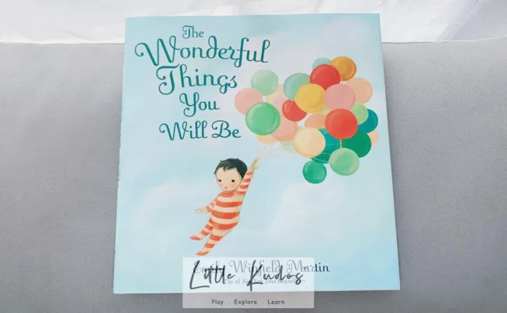 The Wonderful Things You Will Be [READY STOCK] | Lazada