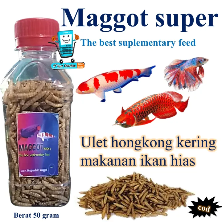 ULAT HONGKONG KERING MAGGOT SUPER PAKAN IKAN MAKANAN IKAN | Lazada ...