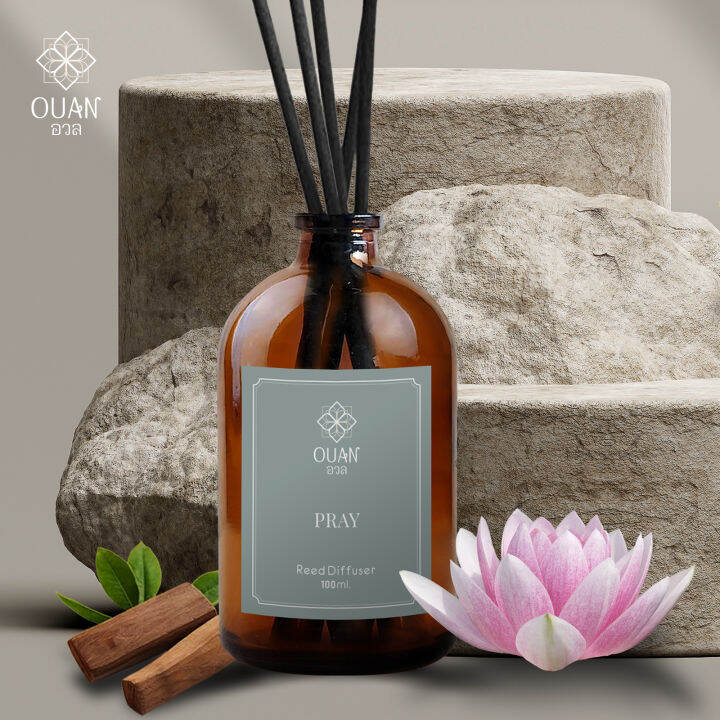 Reed Diffuser (100 ml) กลิ่น Pray สงบ สมาธิ ผ่อนคลาย | อวล | ก้านไม้หอม ...