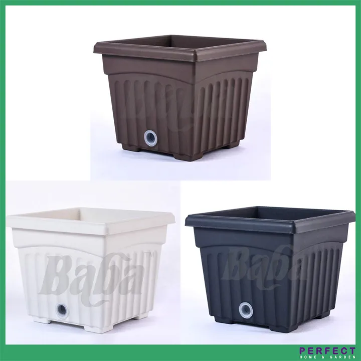 PERFECT BABA SQ-200 Biodegradable Square Pot Pasu 盆 | Lazada