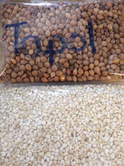 ADLAY GRAINS AdLay Rice (1kilo per pack) | Lazada PH