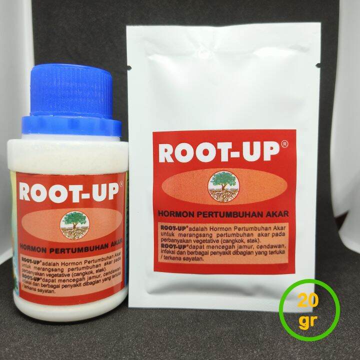 ROOT-UP kemasan repack 20gr hormon pertumbuhan akar | Lazada Indonesia