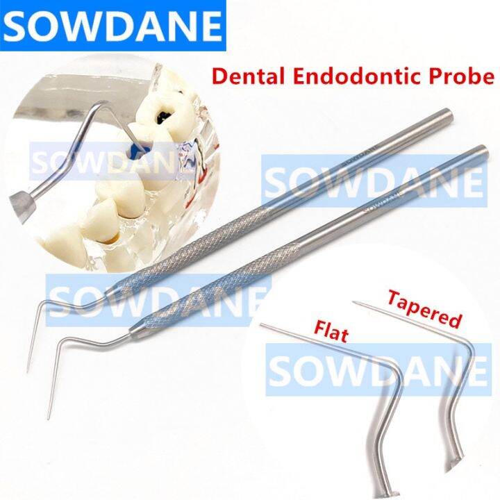 Dental Stainless Steel Endodontic Probe Explorer FlatTapered Instrument ...