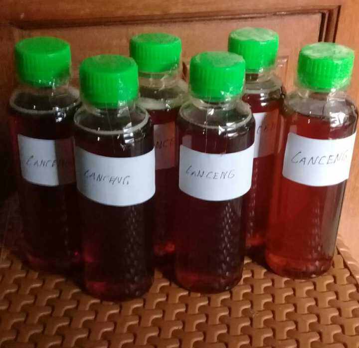 Madu Klanceng / Lanceng 220 ml Original by Lebah Trigona sp. Kelulut ...