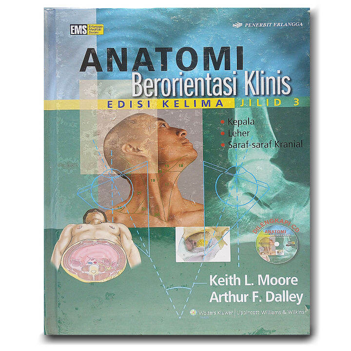 Buku Kedokteran Anatomi Berorientasi Klinis Jilid 3 Edisi 5 Keith L ...