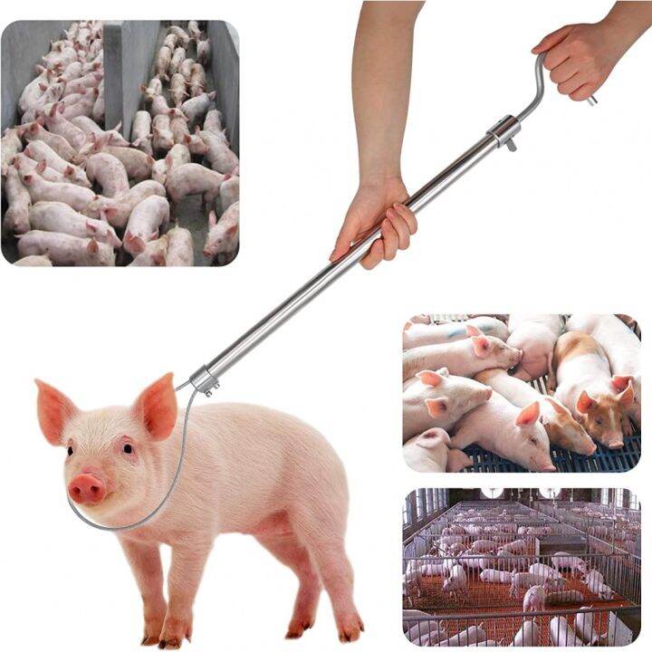 60cm Hog Catcher Stainless Steel Hog Rod Type Holder Pig Catcher Tool Swine Pig Farm Iron Pig ...