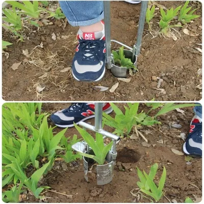 Japan buys agricultural fruit and vegetable seedling mover, seedling ...