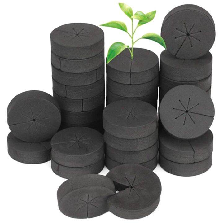 【Ready Stock&COD】60Pcs Garden Clone Collars Neoprene Inserts Sponge ...