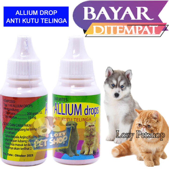 ALLIUM DROP OBAT TETES KUTU TELINGA KUCING ANJING | Lazada Indonesia