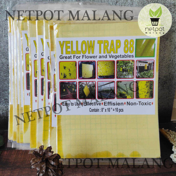 Yellow Trap Perangkap Hama dan Serangga Paling Efektif | Lazada Indonesia