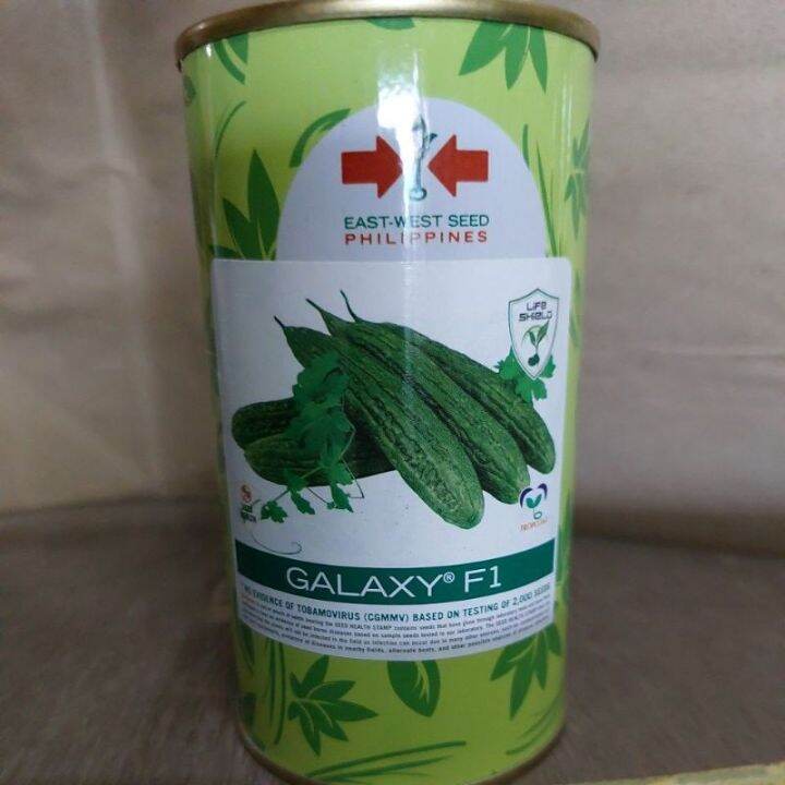 buy one get one free, 50 seeds (not plants)Galaxy F1 Ampalaya Seeds 100 ...