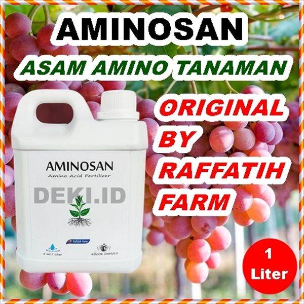 Aminosan Cair 1 Liter Asam Amino Tanaman Anggur by Raffatih Farm ...