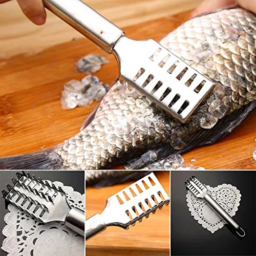 Stainless Steel Fish Scaler(19cm*4cm) | Lazada PH