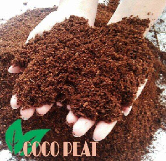 Cocopeat 500 grm Coco Peat Cocopit Cocovit Media Tanam Hidroponik ...