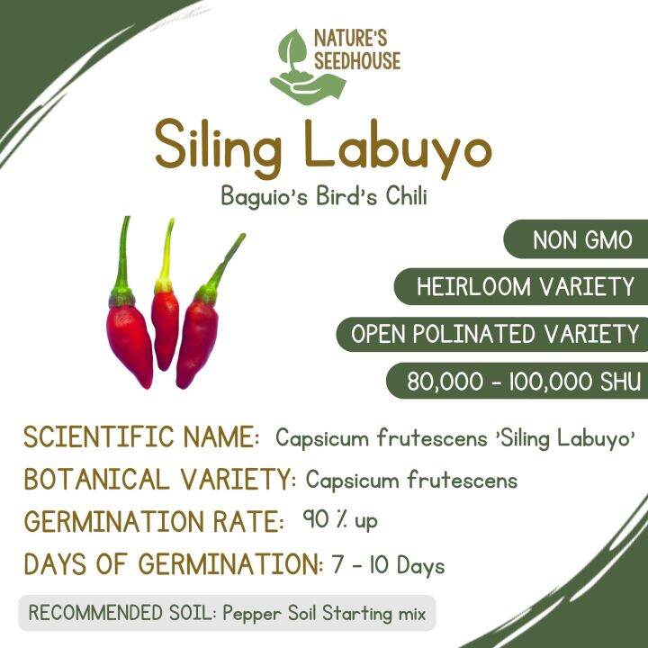 Siling Labuyo | Pepper Seeds | Lazada PH