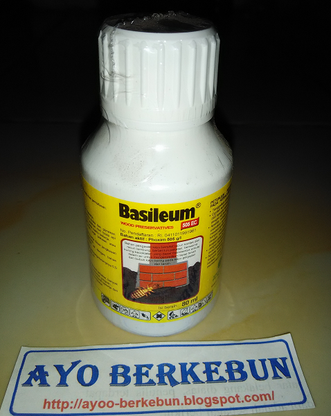 anti rayap basileum 80 ml / pengawet kayu basileum / racun rayap ...