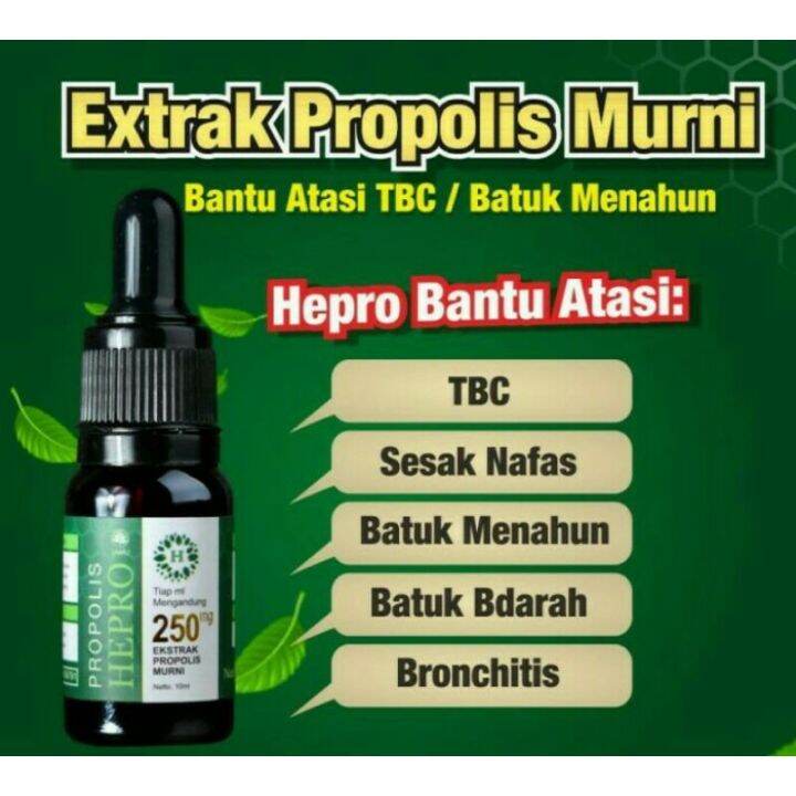 Propolis Hepro Original 100% Grosir untuk Bronkitis, TBC, Asma ...