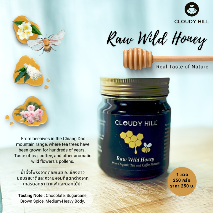 น้ำผึ้งออร์แกนิกแท้ตราคลาวดี้ ฮิลล์ Cloudy Hill: Raw Wild Honey | Lazada.co.th