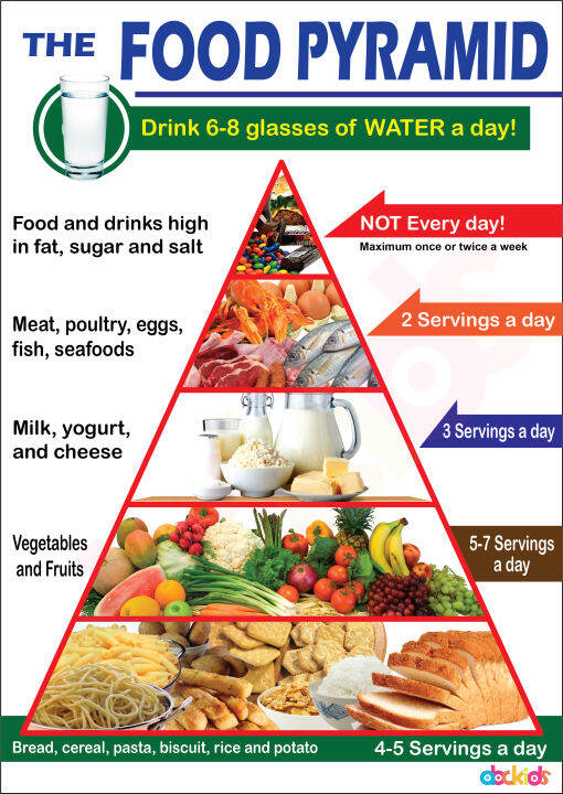 Foods and Beverages Learning Materials and Educational Charts For Kids ...