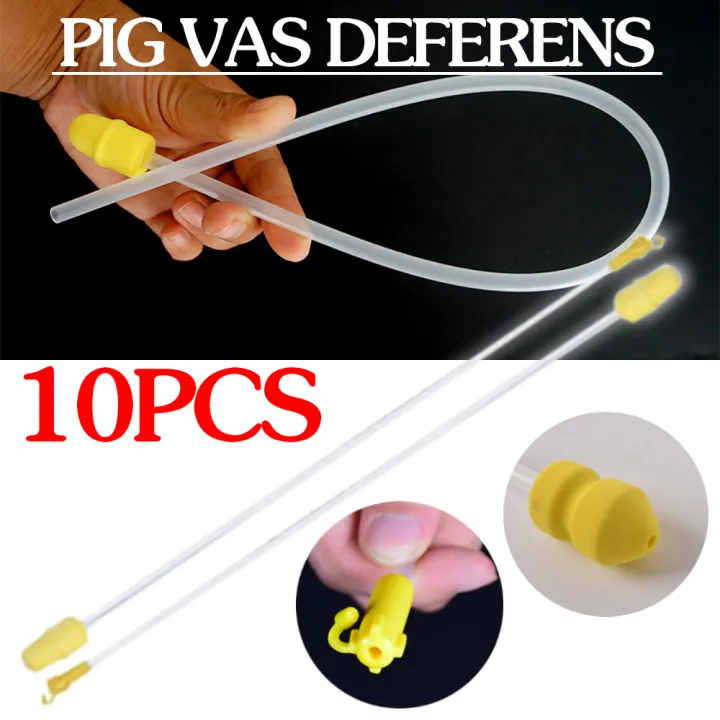 Foam tip Catheter w/ end cap for sows/gilts (pig) 10pcs for pig ...