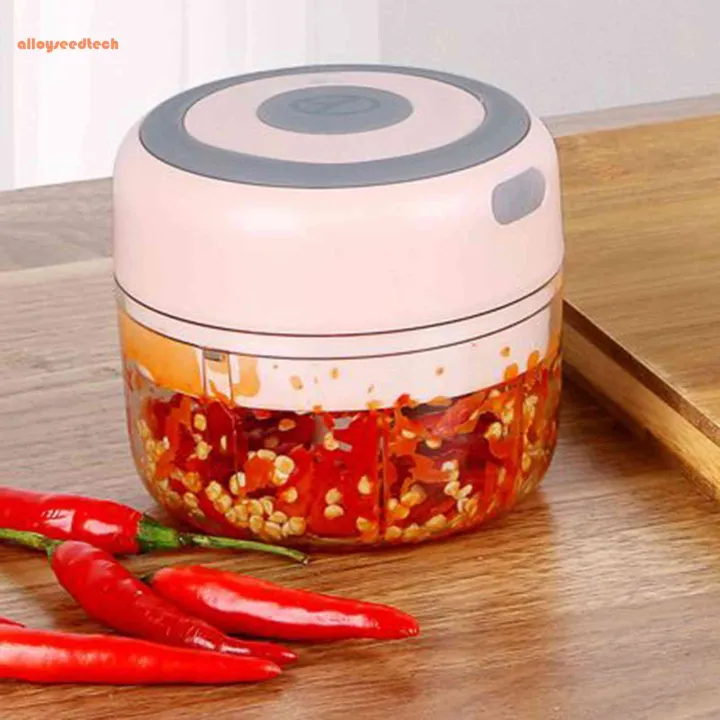 Electric Meat Grinder 100ml Stainless Steel Food Processor Mini Food ...