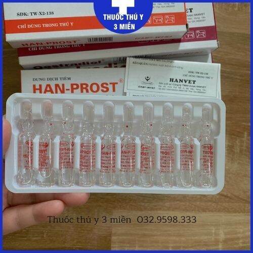 Th.uố.c Thú Y HAN-PROST Tan Thể Vàng Gây Động D.ục Cho Đ.ẻ Sớm Hàng ...