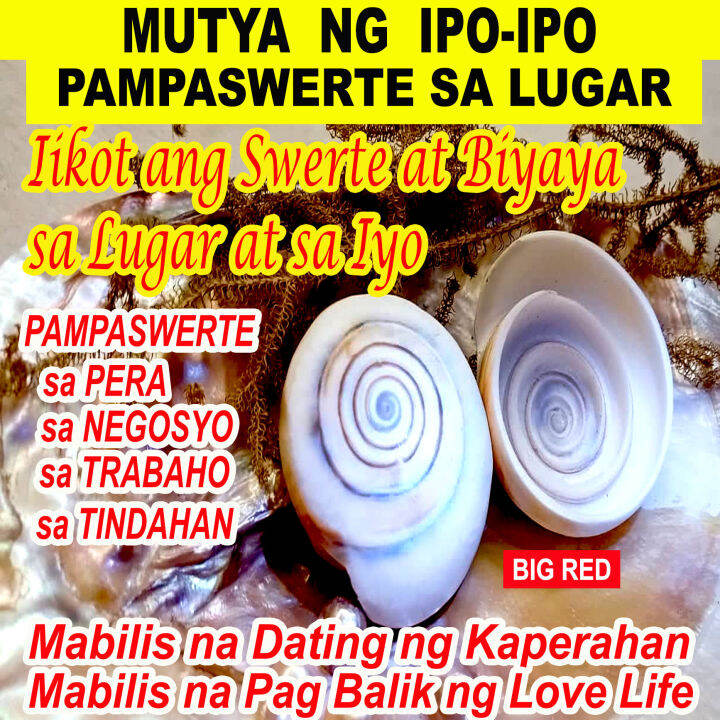 Lucky Charm for Money Business and Love Life IPO-IPO NG DAGAT PAMPASWERTE 1pc Blessed with guide ...