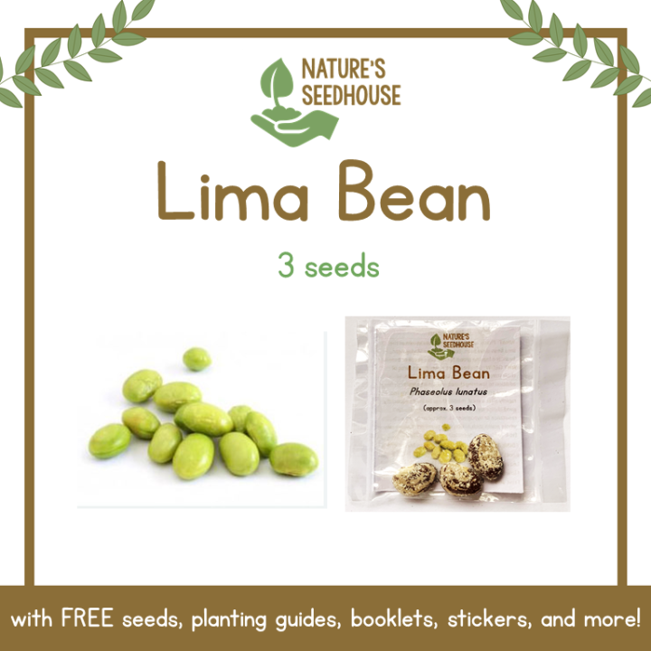 Lima Bean Seeds • Patani Seeds • Vegetable Seeds • Plant Seeds ...