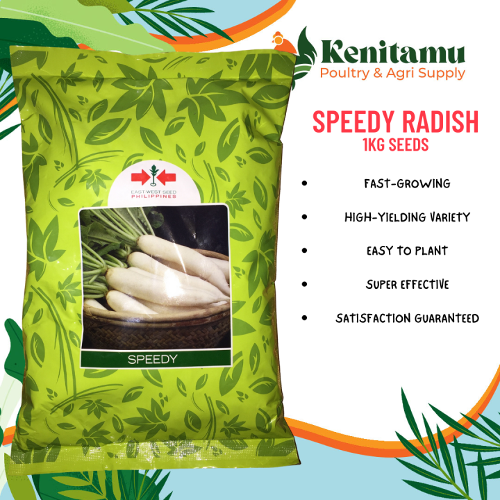 SPEEDY RADISH SEEDS 1KG BY: EAST-WEST SEED PHILIPPINES | Lazada PH