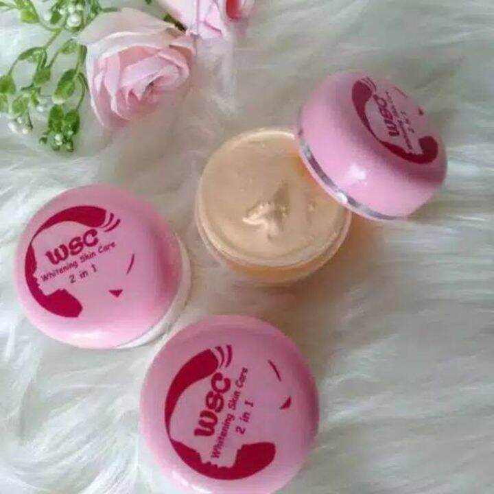 Krim WSC 2in1 Whitening Skincare 30GRAM | Lazada Indonesia