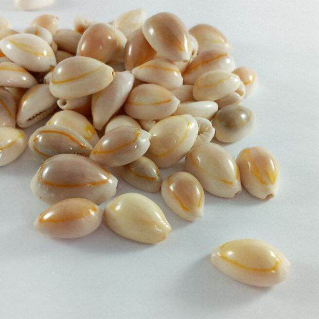 sungka shells l sigay 100pcs. | Lazada PH