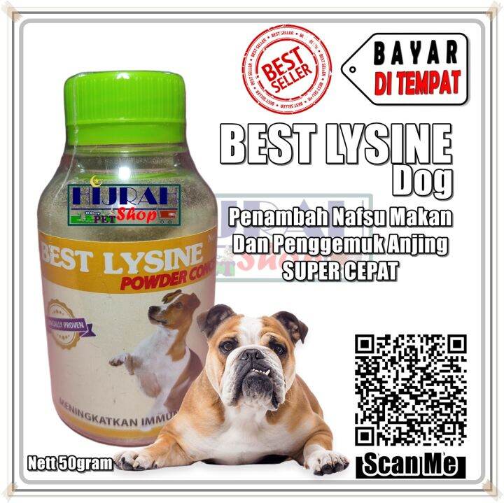 Obat Anjing Vitamin Anjing Suplemen Anjing Penambah Nafsu Makan Anjing ...