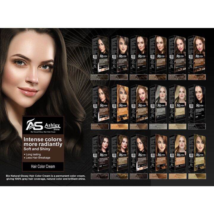 Ashley Shine Bio Natural Glossy Hair Color Cream Hair Dye Set 60mL Ash ...