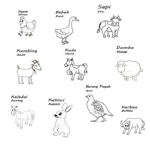 Series Hewan Ternak (Level Easy) - Mewarnai Gambar untuk Anak TK/SD | Lazada Indonesia