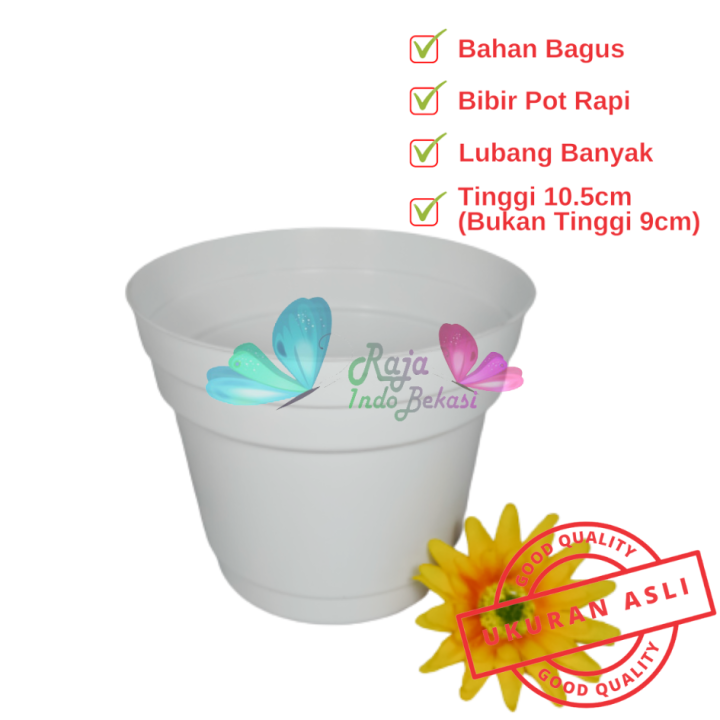 Pot 12 Putih Polos - Pot 12 Cm Putih Kecil Mini Minimalis Plastik ...