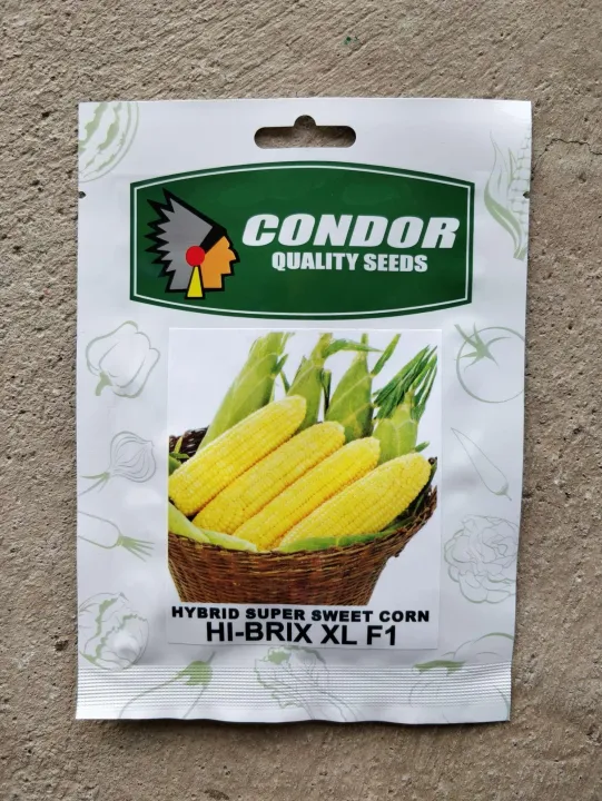 SUPER SWEET CORN (HI-BRIX XL) F1 SEEDS - HYBRID | Lazada PH
