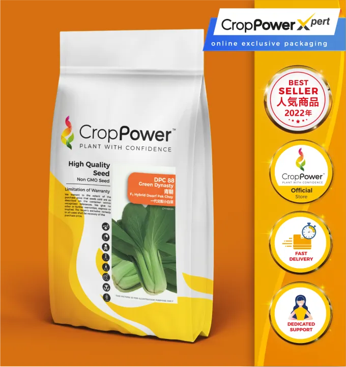 Biji Benih Pak Choy/ Dwarf Pak Choy seeds / 小白菜种子 - CROP POWER (F1 ...