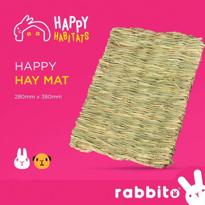 Happy Habitats Happy HAY MAT for rabbits, guinea pigs and small animals ...