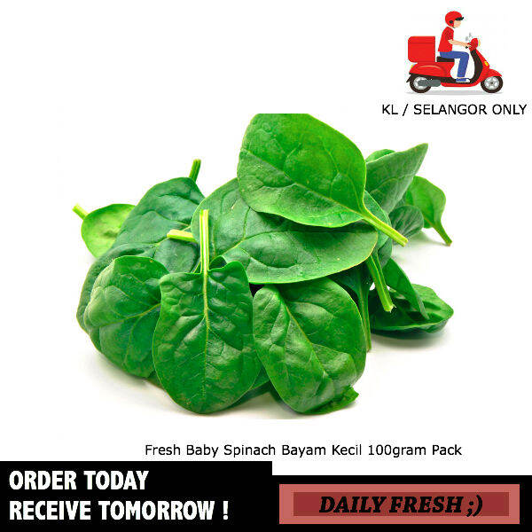Fresh Baby Spinach Bayam Kecil 100gram Pack Fresh Vegetables | Lazada